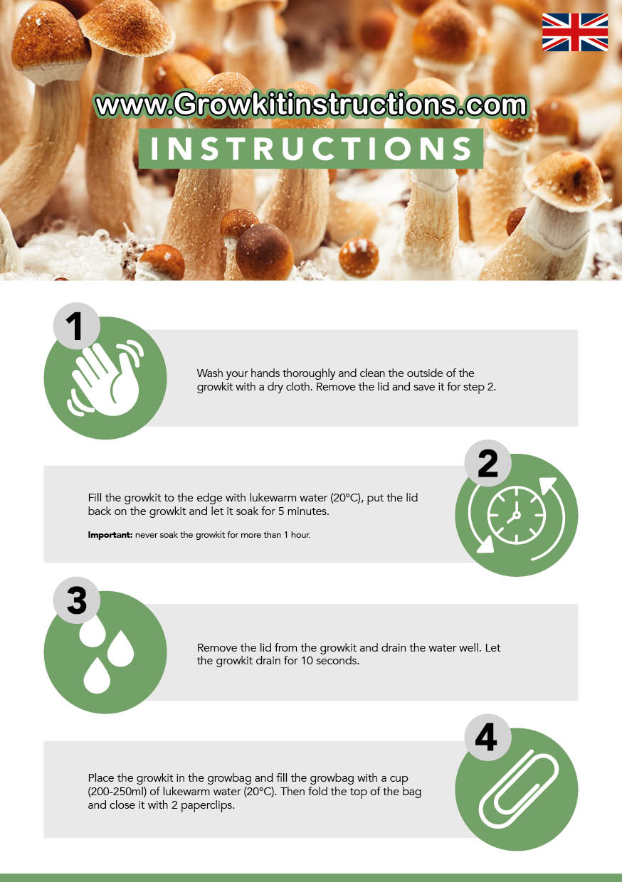McKennaii grow kit instructions – Grow kit Instructions